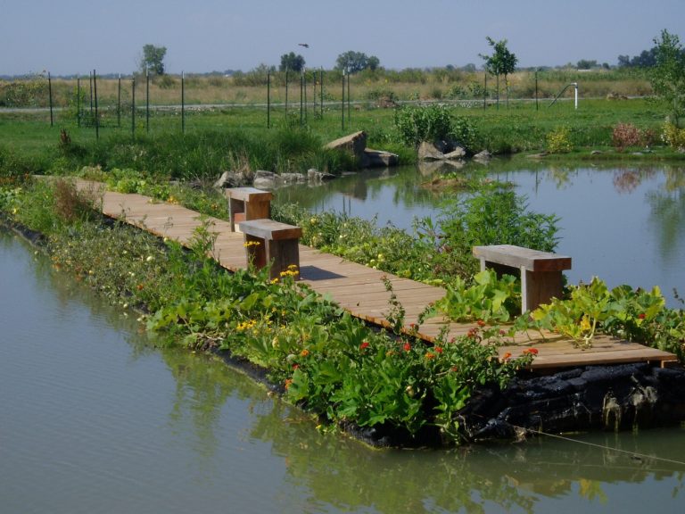 Floating Islands: Promoting clean water, wildlife and aesthetics ...