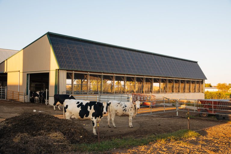 Heifer Barn - Hixwood | Rural Builder