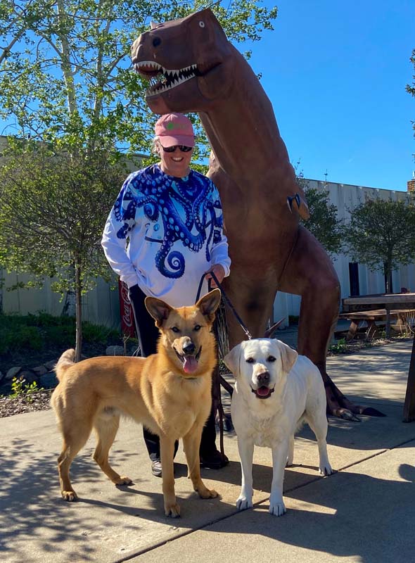 Meet Kathleen Riley: A Boots-on-the-Ground Editor for Rural Builder ...